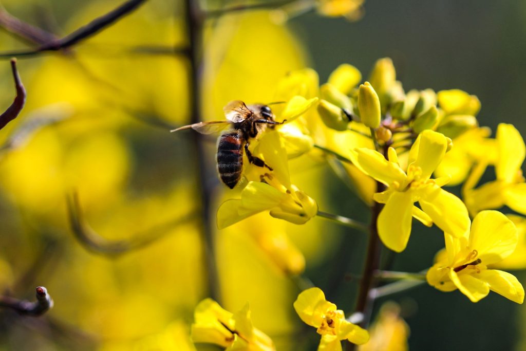 Experts by Experience - Cornwall Mind