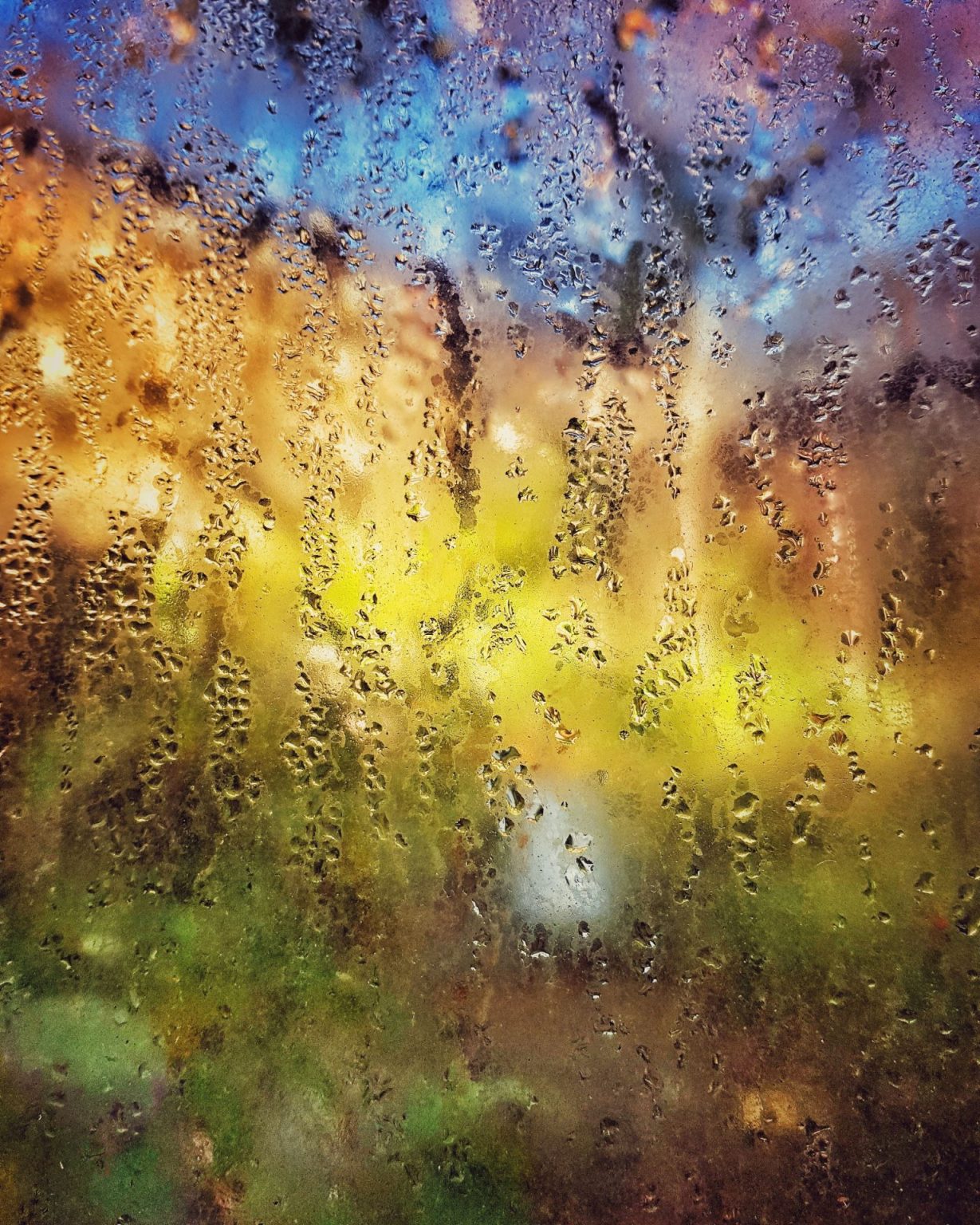 Experts by Experience - Cornwall Mind